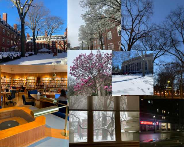 What Happened When I Got Accepted To Harvard Harvard